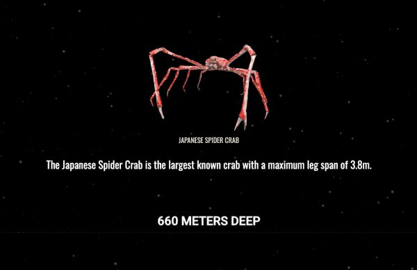 迷人視覺化設計The Deep Sea，開啟史詩般的海洋探索之旅 | 瘋設計 FUNDESIGN