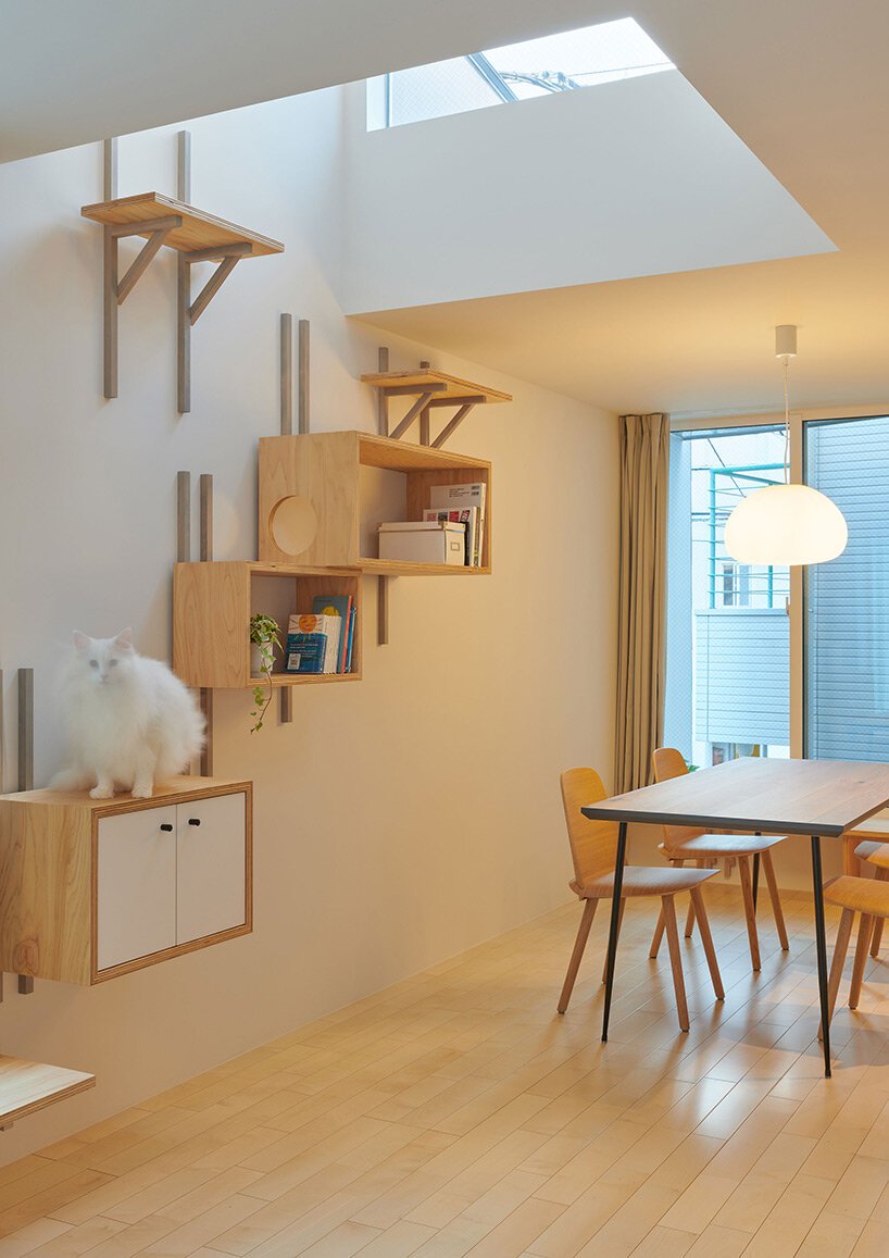 主子需求擺第一！以 貓 決定 空間設計 的東京Neko-House